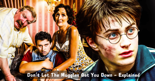 Don’t Let The Muggles Get You Down - Meaning, Origin - EditionCards