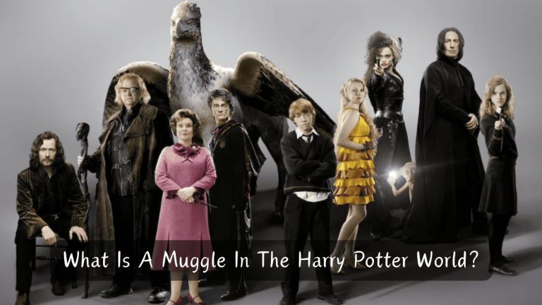 Harry Potter Muggle, Pure-Blood, Mudblood, And More Terms Explained ...